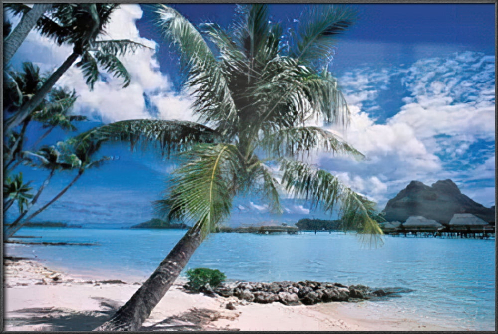 Bora Bora Island - Framed Nature Poster (Paradise / Beach / Palm Trees ...