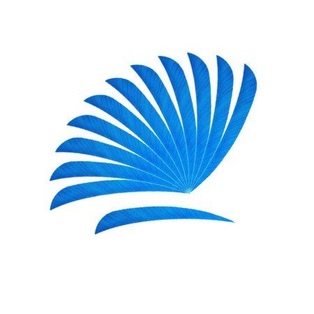 12 Pieces Archery Hunting Arrow Feather Fletching Drops Fletching Right ...