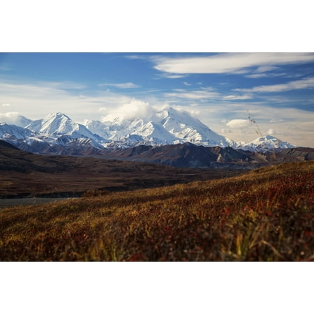 View Of Denali From The Thorofare Ridge Trail, Denali National Park ...