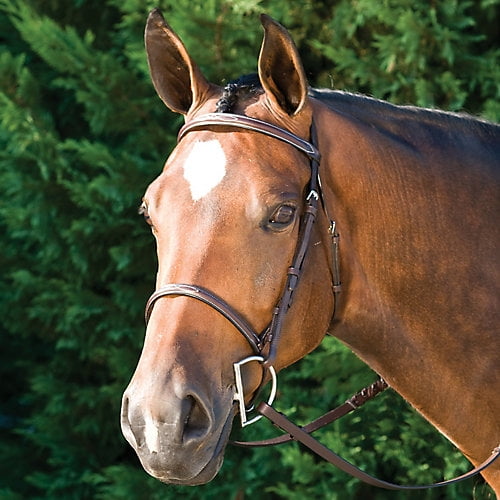 English Bridle