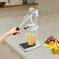 Commercial Manual Juicer, Juice Extraction Machine, Hand Press Juice ...