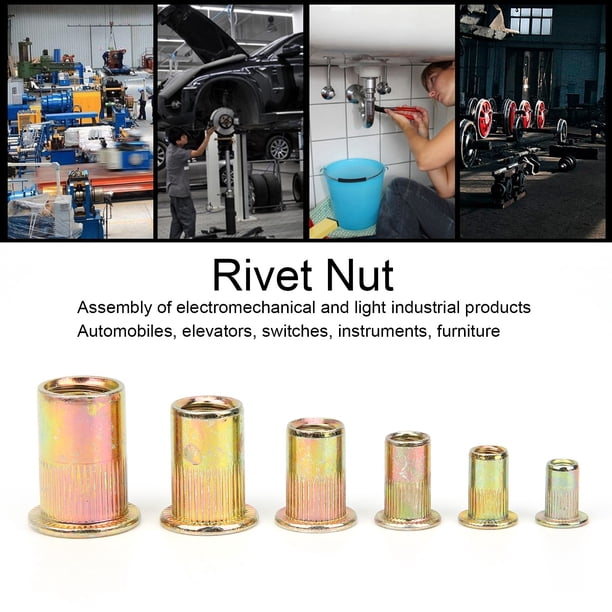 Écrou de Rivet en Zinc Plaqué de Couleur, Écrou de Rivet Professionnel ...