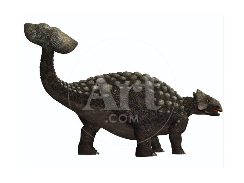 Ankylosaurus, a Heavily Armored Dinosaur from the Cretaceous Period ...