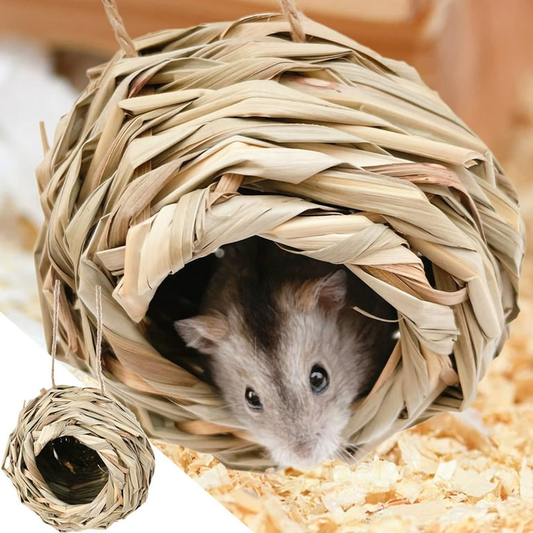 Homemade Hamster Houses