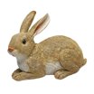 Design Toscano Hopper, the Bunny, Standing Garden Rabbit Statue: Set of ...