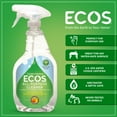 ECOS Parsley Plant-Based Multipurpose Cleaning Spray - Natural Smell ...