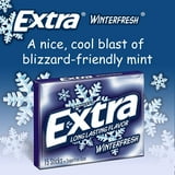 EXTRA Gum Winterfresh Sugar-Free Chewing Gum, Bulk Multipack, 15 Pieces ...
