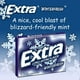 EXTRA Gum Winterfresh Chewing Gum, 15 Pieces (Pack of 10) - Walmart.com
