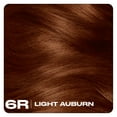 Clairol Nice'n Easy10 Permanent Hair Color Cream, 6R Light Auburn, Hair ...