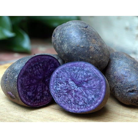 Purple Majesty Seed Potato 6 Tubers - Heirloom - Great Taste! - Walmart.com