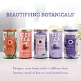 The Republic of Tea Beautifying Botanicals®Blueberry Lavender (Pack of ...