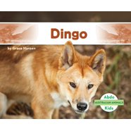 Arctic Animals at Risk Arctic Foxes, (Hardcover) - Walmart.com