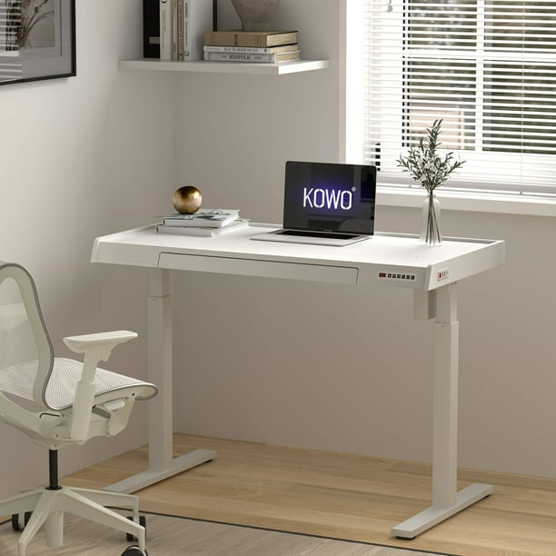 KOWO 48" K309 Electric Height Adjustable Standing Desk with Drawer, White - Walmart.com