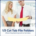 File Folder, 30 Pack File Folder, 1/3 Cut Tab, Letter Size, Filing ...