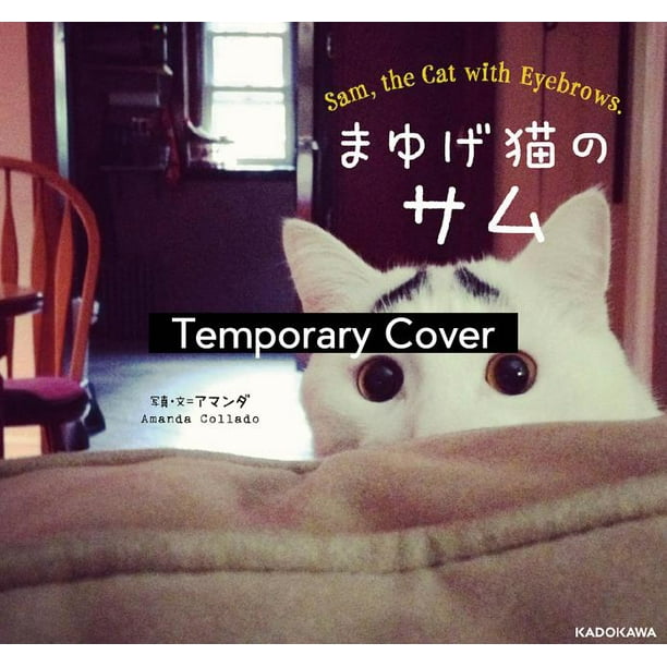 Sam, the Cat with Eyebrows (Paperback) - Walmart.com