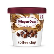 Baskin-Robbins Wild ‘N Reckless Sherbet, 14 fl oz Cup. Green Apple ...