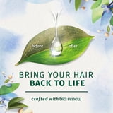 Herbal Essences Bio:Renew Blue Ginger Shampoo, Refresh & Volumize, 13.5 ...