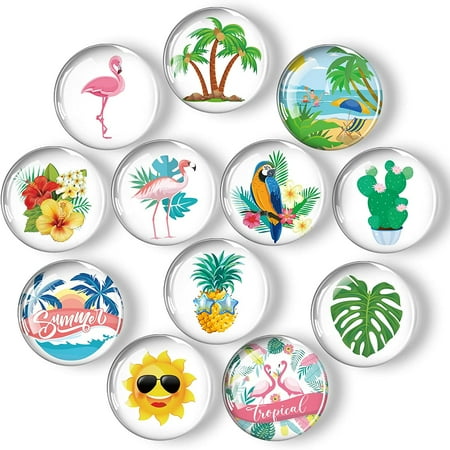 12 Pieces Fridge Magnets Refrigerator Magnets Glass Fridge Magnets Cute ...