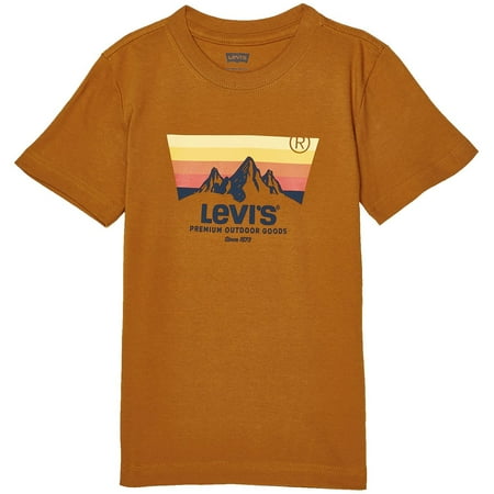 Levi's® Boy's Mountain Batwing Tee (Big Kids) Cathay Spice MD (10-12 ...