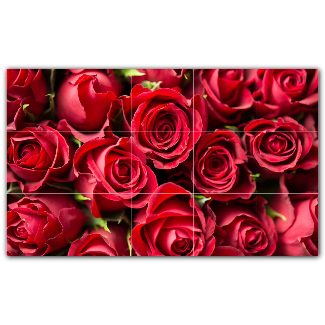 Picture-Tiles.com: Flowers Ceramic Tile Wall Mural WAL500646-53XL. 60"W ...