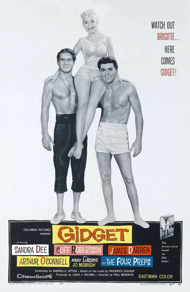 Gidget Poster 24inx36in Art Poster 24x36 Unframed, Age: Adults ...