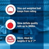 SPRI Weighted Stability Exercise Ball, 55cm, Blue - Walmart.com