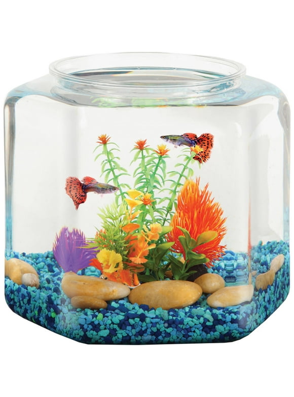 Fish Bowls in Fish Tanks - Walmart.com