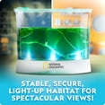 Blue Marble, National Geographic Light-Up Ant Habitat Kit with Built-In ...