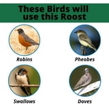 JCs Wildlife Modern Style Cedar Robin Roost with Poly Lumber Roof ...