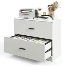 Sauder Office Whitaker Point Engineered Wood 2-Drawer Lateral File in ...