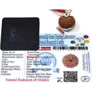 Bead Buddy Bead Bug Combo Pack 8pc - Walmart.com