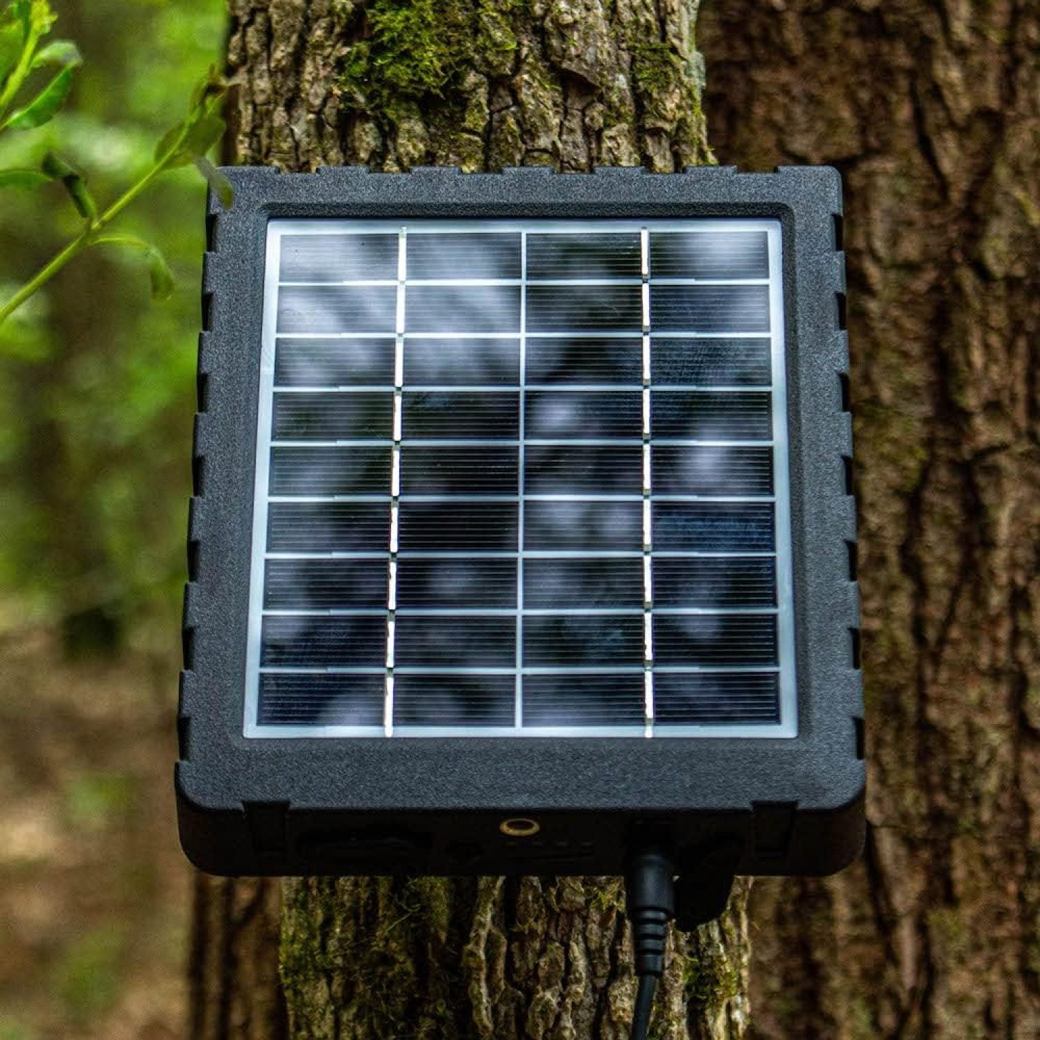 WISEEYE Solar Panel - Walmart.com