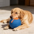 Pet Toys Interactive and Tug Toy for Dogs—Inflatable Big Teal Handle ...