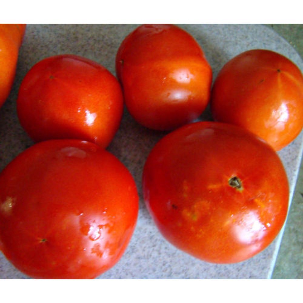 Tomato Bonny Best Great Garden Heirloom Vegetable 50 Seeds - Walmart ...