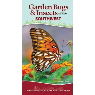 Backyard Bugs: An Identification Guide to Common Insects, Spiders, and ...