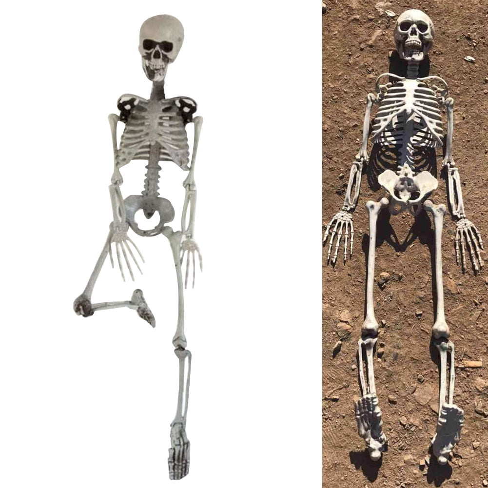 Cheers.US 90cm Halloween Skeleton Full Body Skeletons, Halloween ...