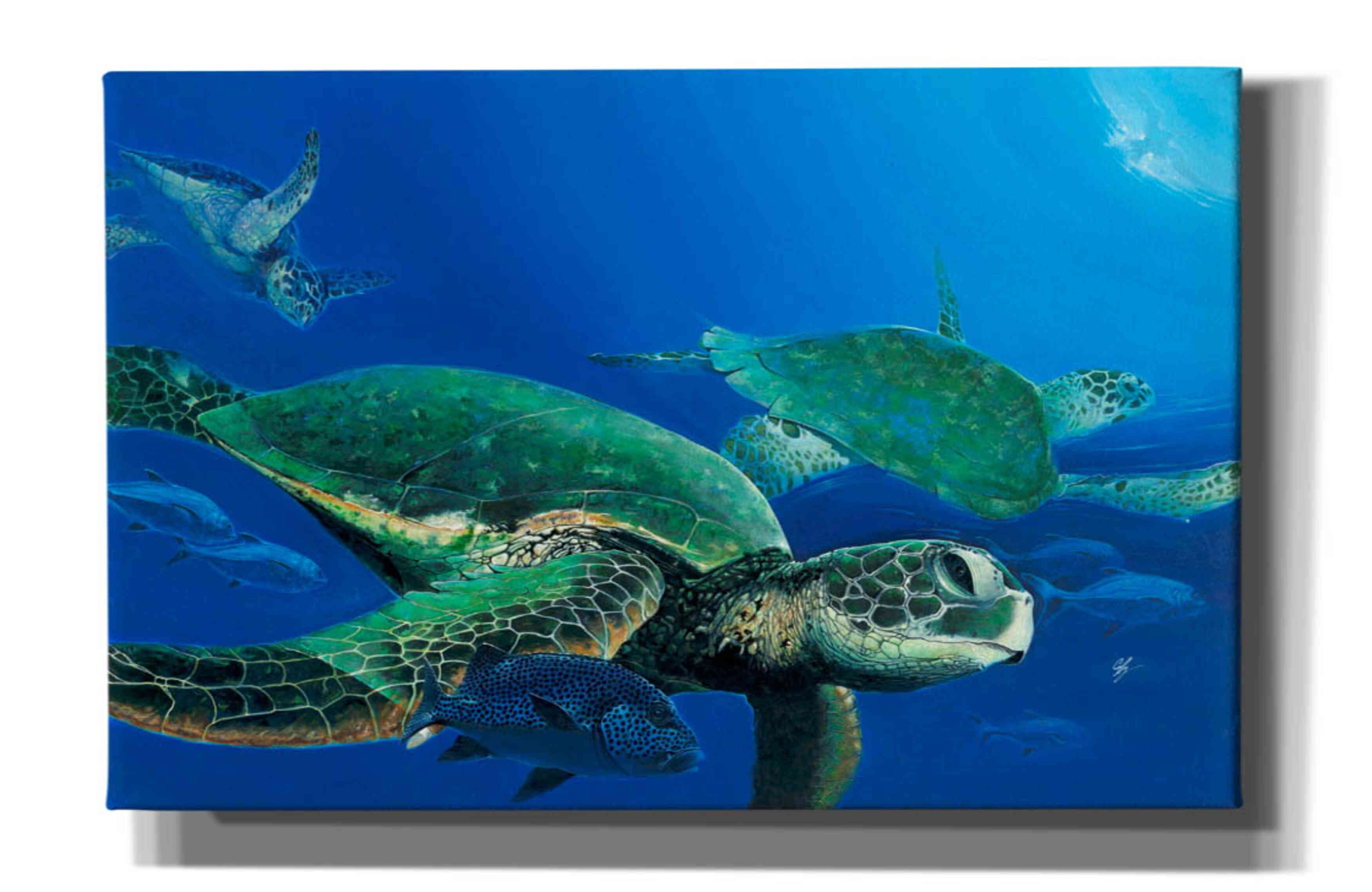 Epic Graffiti 'Green Sea Turtles' by Durwood Coffey, Canvas Wall Art ...