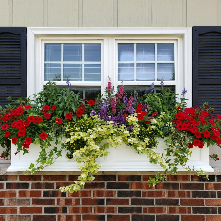 Building Designs For Window Boxes
