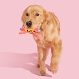 BARK Plush Dog Toys Sally Bitefoot Crab, for Dogs of All Sizes ...