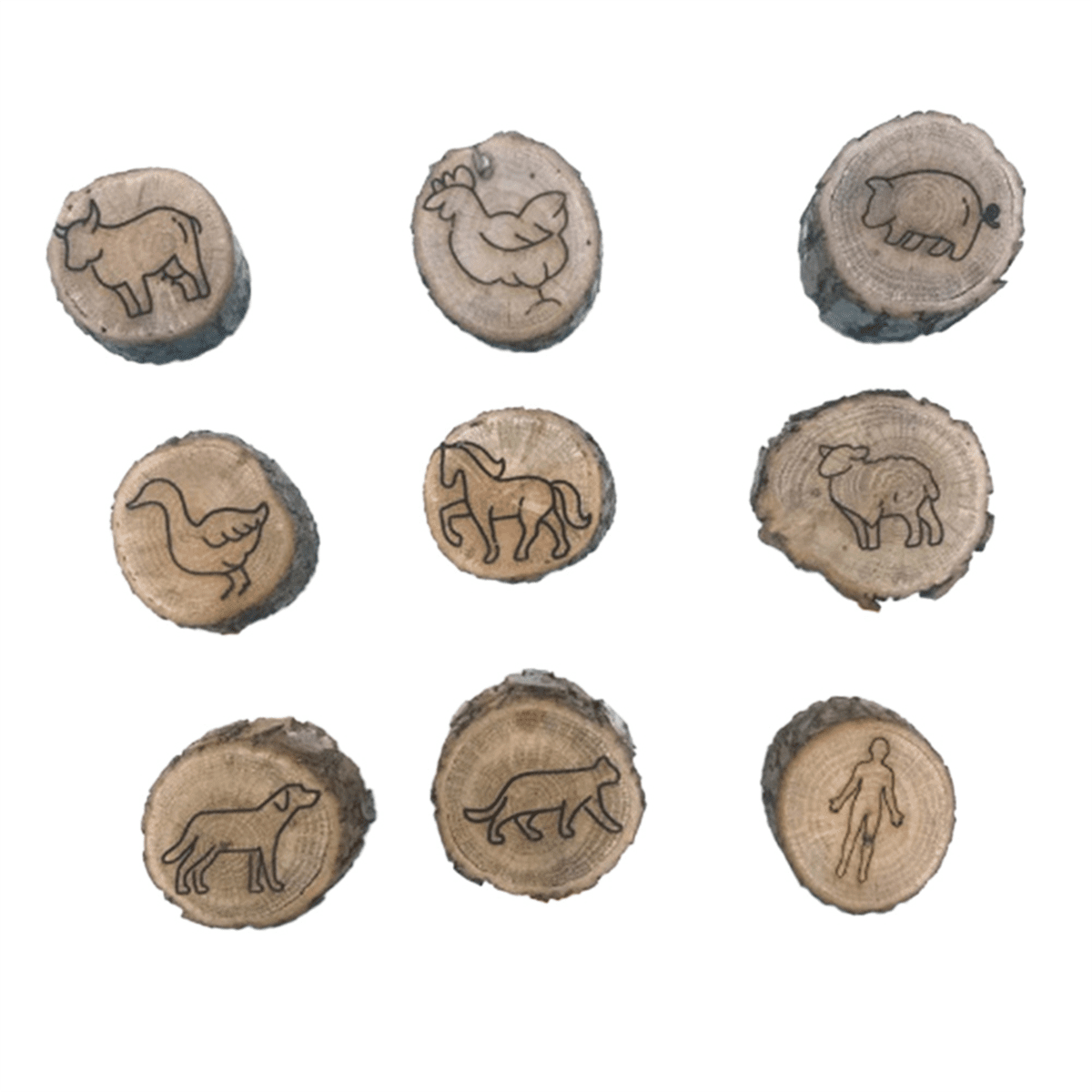 Click here for Unbranded 9pcs Animal Tracks Stamps Mould Animal F... prices
