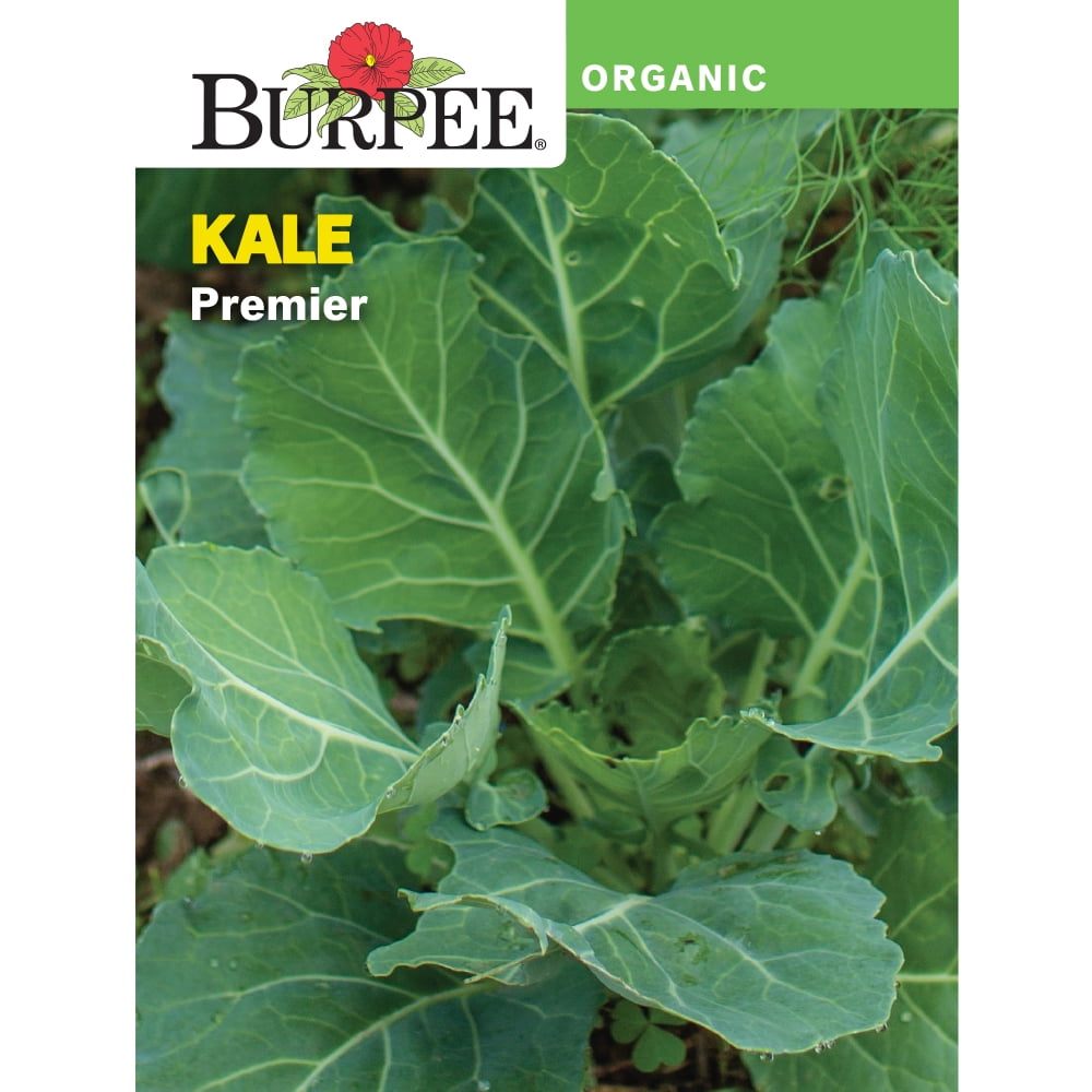 Burpee Organic Premier Kale Vegetable Seed, 1-pack - Walmart.com ...