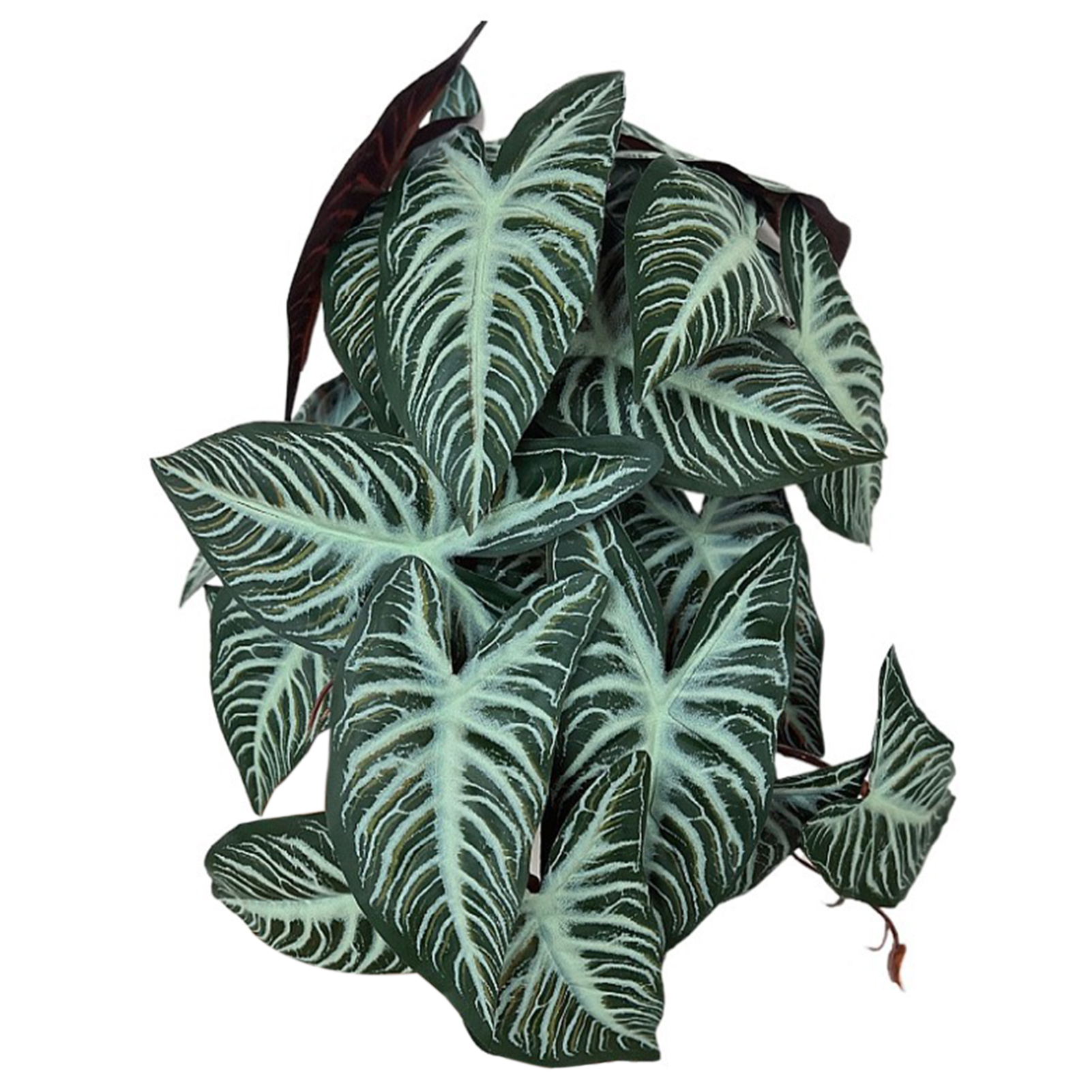 Pnellth Simulated Plant Decorative Realistic Full of Vitality Decorate Rattan Leaves Long ...