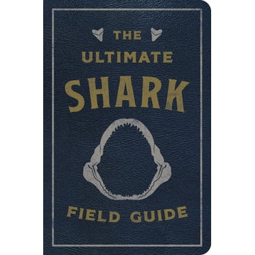 Sticker Mosaics: Sticker Mosaics: Sharks : Puzzle Together 12 Unique ...