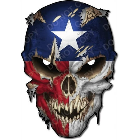 Decals by Haley Texas State Flag Star Skull Decal with Reflective Eyes ...