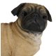 Ebros Large Realistic Fawn Pug Dog Statue 12"L Fine Pedigree Dog Breed ...