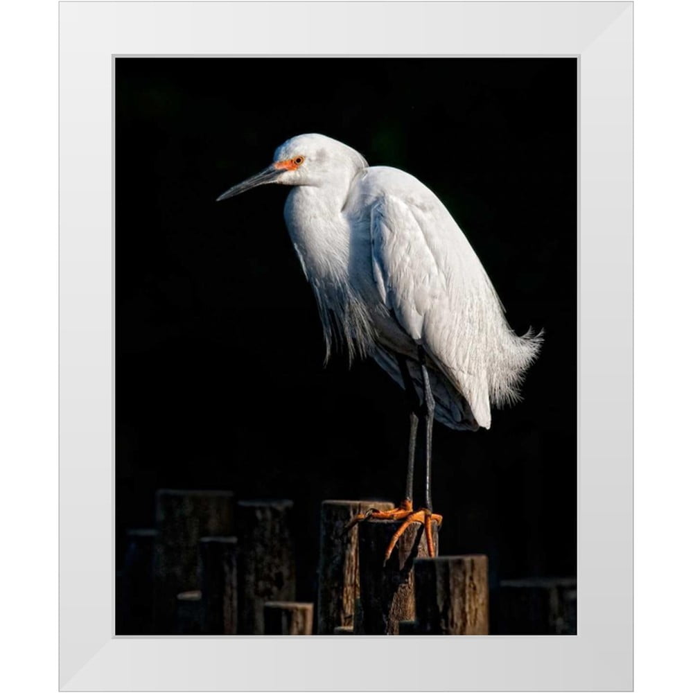 Burchett, PH 12x14 White Modern Wood Framed Museum Art Print Titled ...