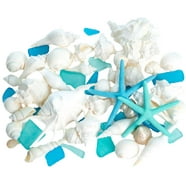 Shell Vase Filler | Imperfect Seashells Mixed Beach Seashells B Quality ...