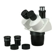 AmScope 20X-40X-80X Sharp Stereo Microscope + USB Camera - Walmart.com