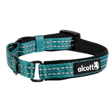 Alcott Essential Adventure Dog Collar Small Black - Walmart.com