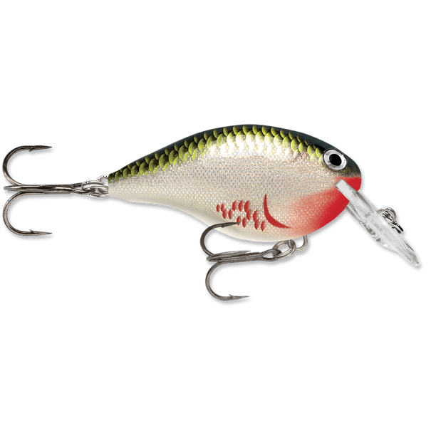Rapala DT Series Crankbait DT4 - Walmart.com